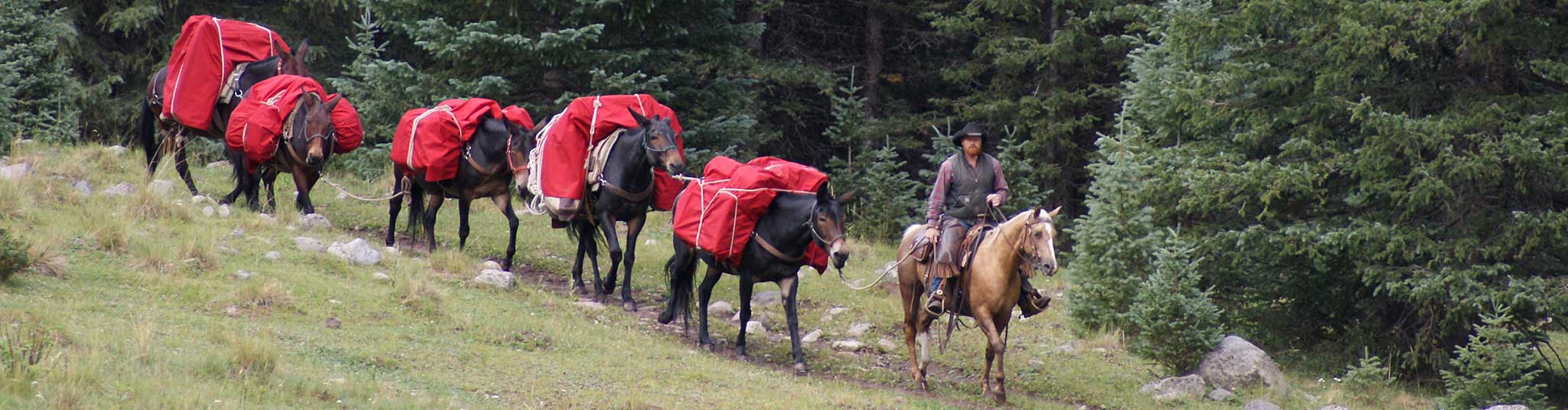 packstring – Colorado Elk and Mule Deer Hunting – Action Adventures
